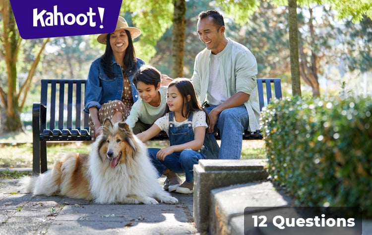 1: Mi familia, mis amigos y yo (Descripción de carácter) - Kahoot! Quiz