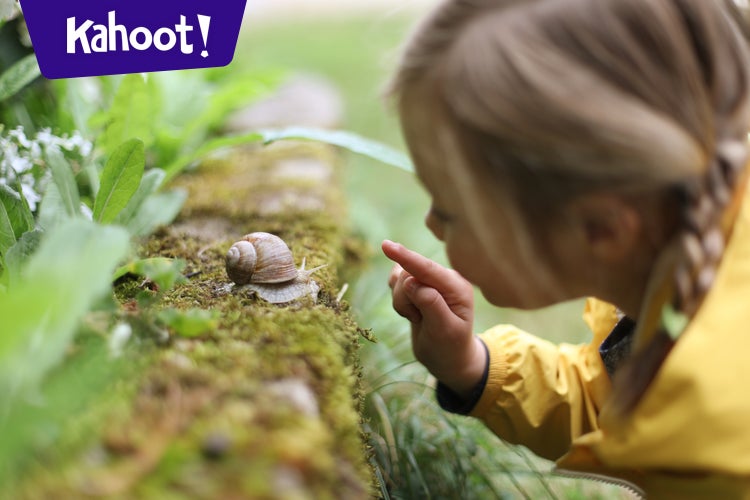 LISTENING to BASIC VERBS - Kahoot! Quiz