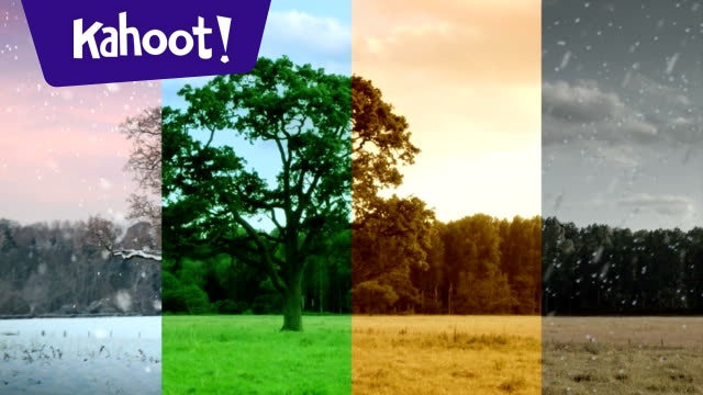 C2 Proficiency Idioms & Expressions - Kahoot! Quiz