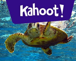 Sea Turtles - Kahoot! Quiz