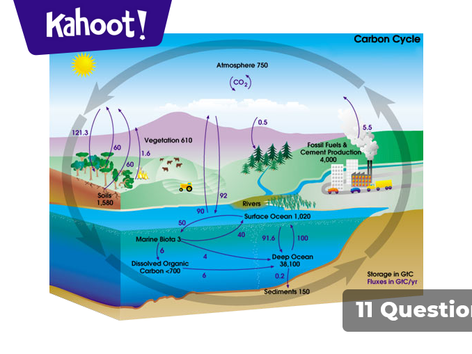 The Carbon Cycle and Food Web - Kahoot! Quiz