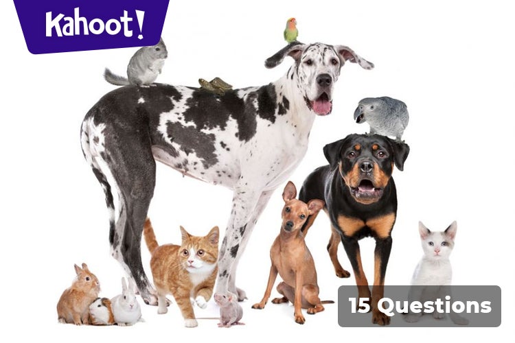ANIMALS - Kahoot! Quiz