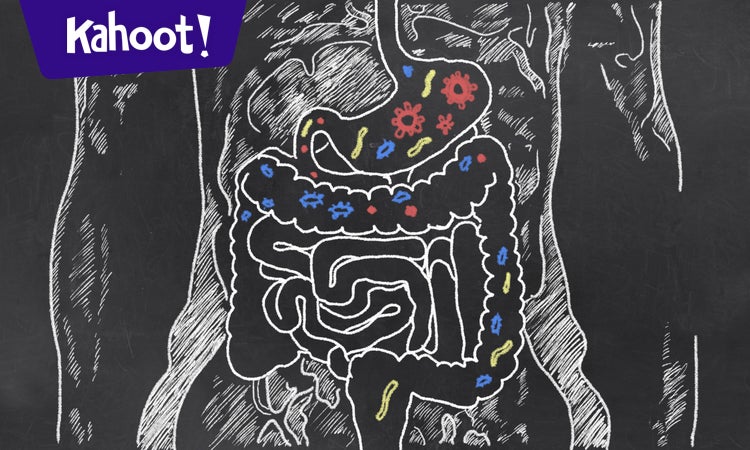 The Digestive System - Kahoot! Quiz