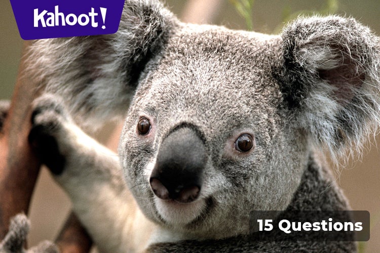 Funny Science Questions - Kahoot! Quiz