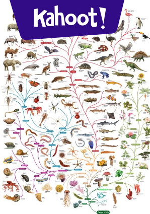 CRJ Biology Midterm Review pt. 2 - Kahoot! Quiz