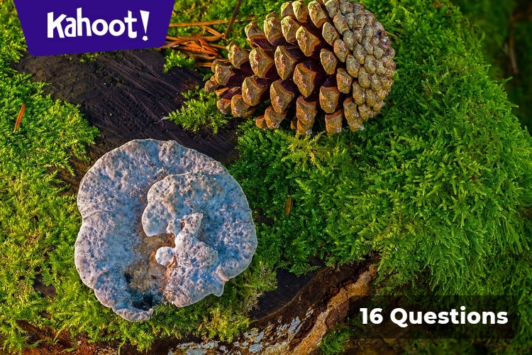 Ecology: Biotic and Abiotic Resources - Kahoot! Quiz
