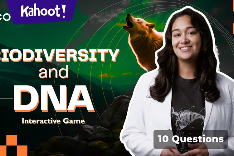 Biodiversity and DNA Interactive Game - Kahoot! Quiz