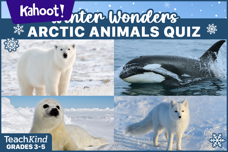 Winter Wonders: Arctic Animals Quiz - Kahoot! Quiz