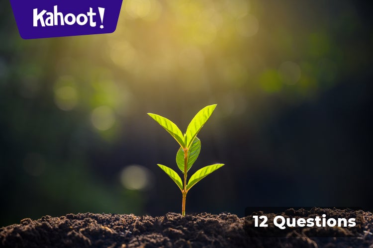Plant Lesson Review 2nd Grade - Kahoot! Quiz