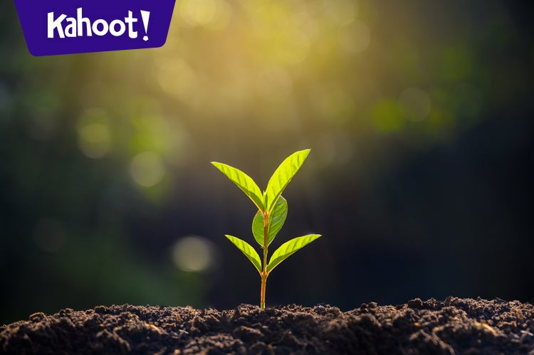 Foss Investigation 1 Structures of Life - Kahoot! Quiz