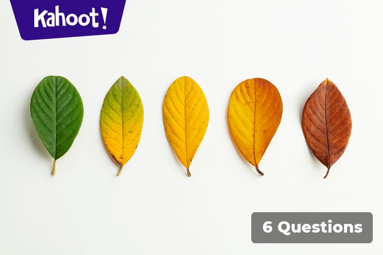 The four seasons - Kahoot! Quiz