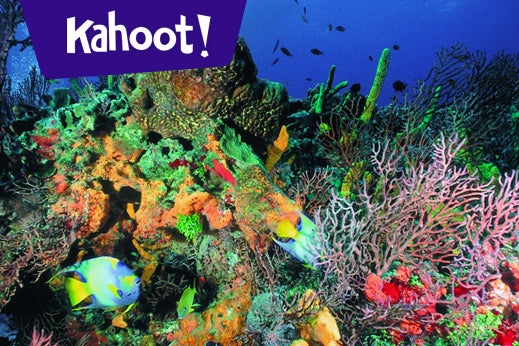 Los Bosques del Mar (Descubre 3 Lección 6) - Kahoot! Quiz