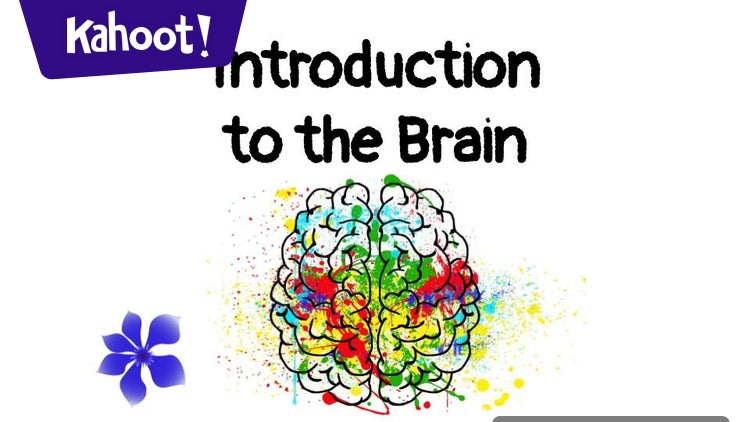 Parts & Functions of the Brain - Kahoot! Quiz