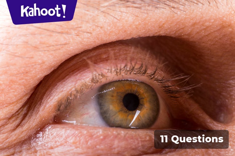 Lenses and the human eye - Kahoot! Quiz