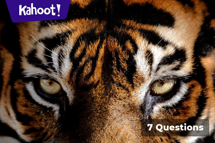 Kule dyr - Kahoot! Quiz