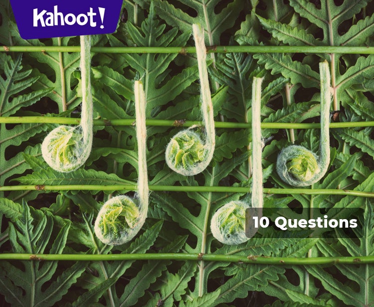 Parts of a ... - Kahoot! Quiz