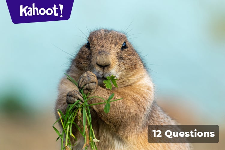 Keystone Prairie Dogs - Kahoot! Quiz