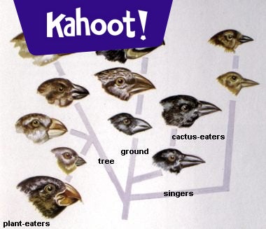 Keystone Evolution - Kahoot! Quiz