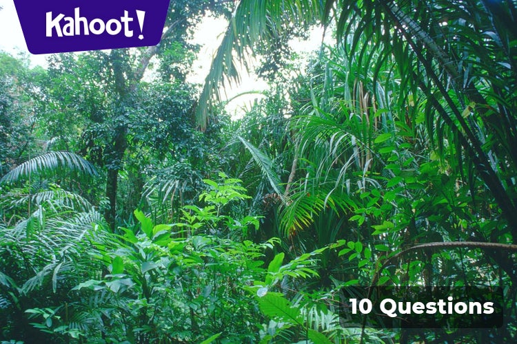 L2 Climate of Tropical Rainforest ecosystem - Kahoot! Quiz