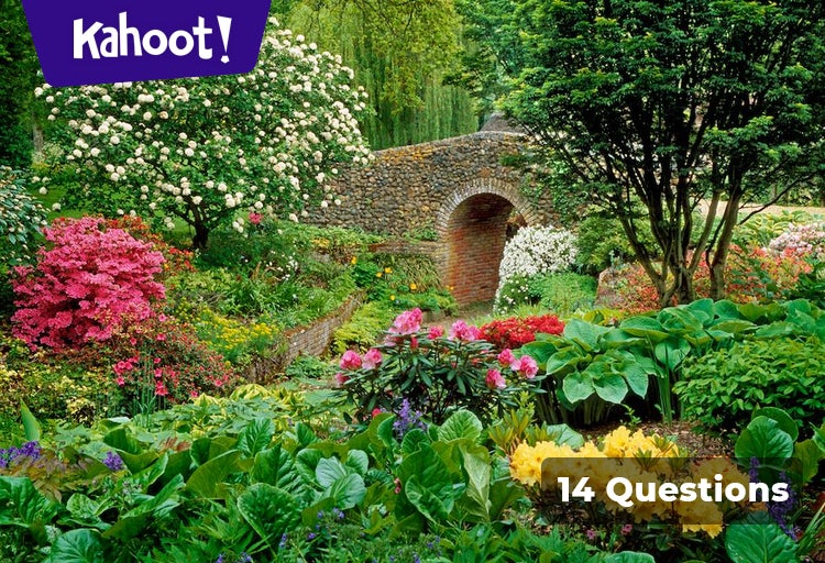 P3 Science - Plants - Kahoot! Quiz