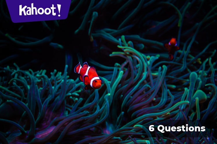 5th Grade Reading; marine biologist questions 1-5 - Kahoot! Quiz