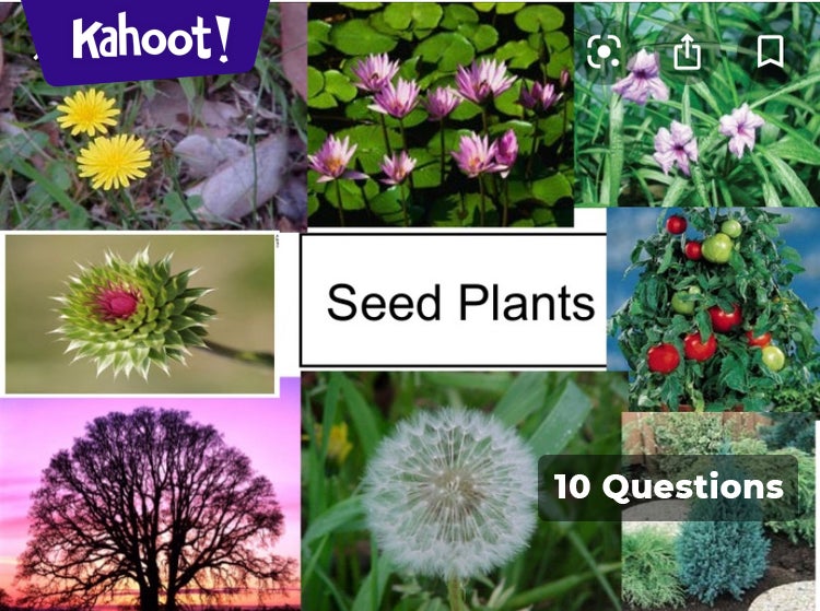 Seed plants - Kahoot! Quiz