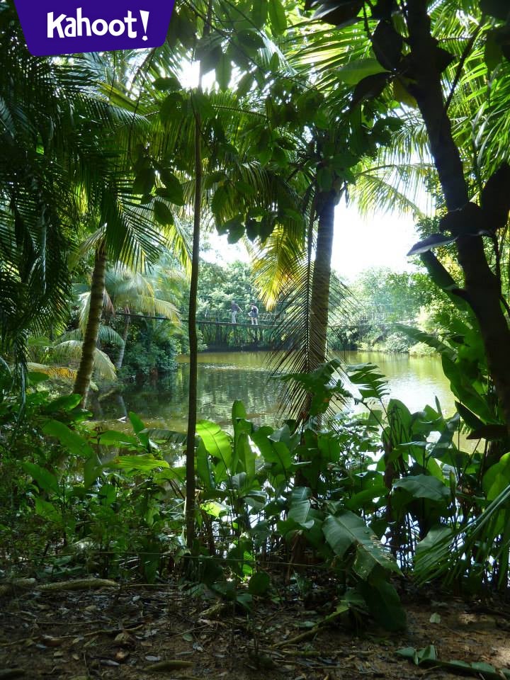 Deserts, Forests, and Wetlands - Kahoot! Quiz