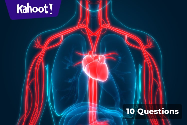 Pr.4 The Circulatory System Review - Kahoot! Quiz