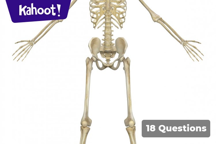 HB- Skeletal system- name these bones - Kahoot! Quiz