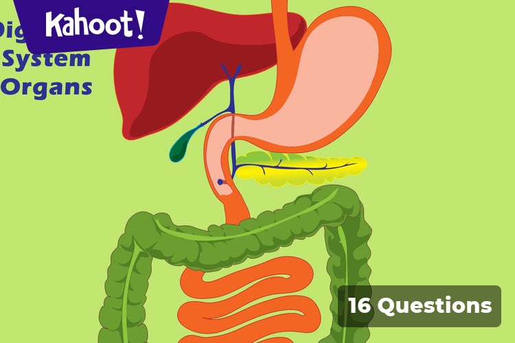 Digestive System - Kahoot! Quiz