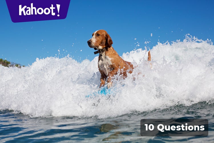 Autumn challenges - Kahoot! Quiz