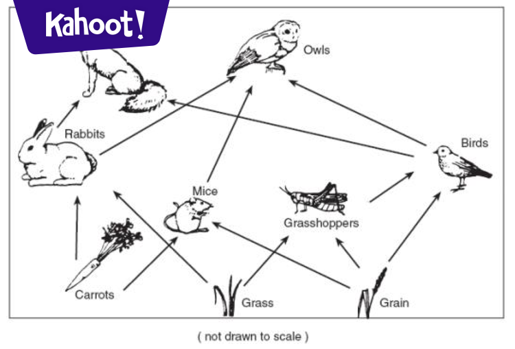 EnvSci Ecosystem Dynamics Retest - Kahoot! Quiz