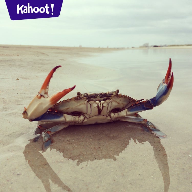 Wildlife Crustaceans Mollusks SC - Kahoot! Quiz