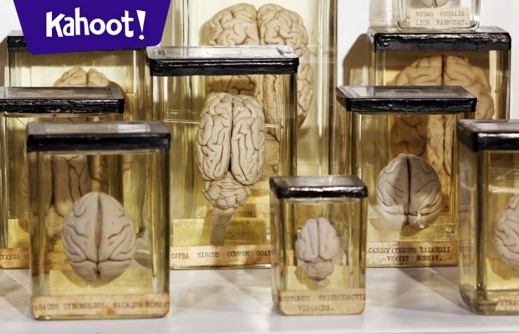 Unit 3 Review - Kahoot! Quiz