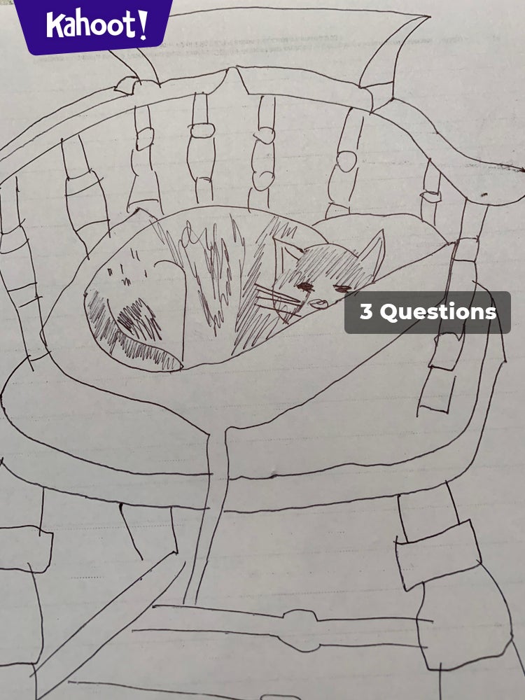 W10JOH Guess the pet - Kahoot! Quiz