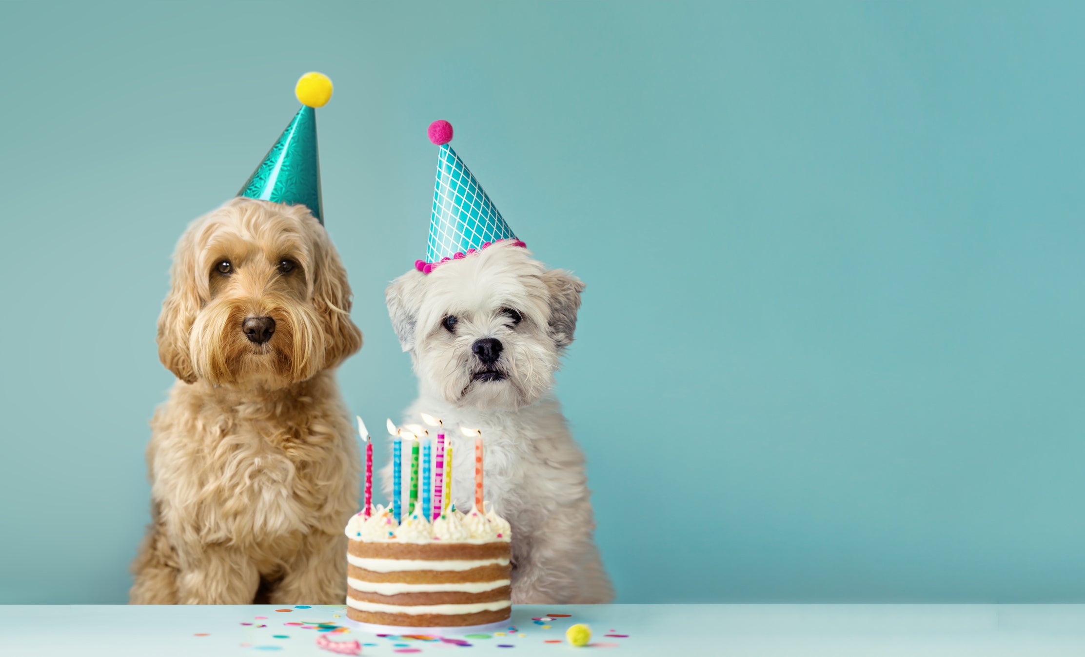 Planning a birthday party - Kahoot! Quiz