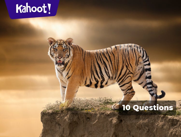 IW1 - Module 7 - Wild animals - Kahoot! Quiz