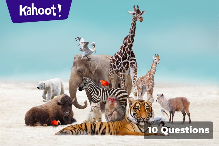 Animals - Kahoot! Quiz