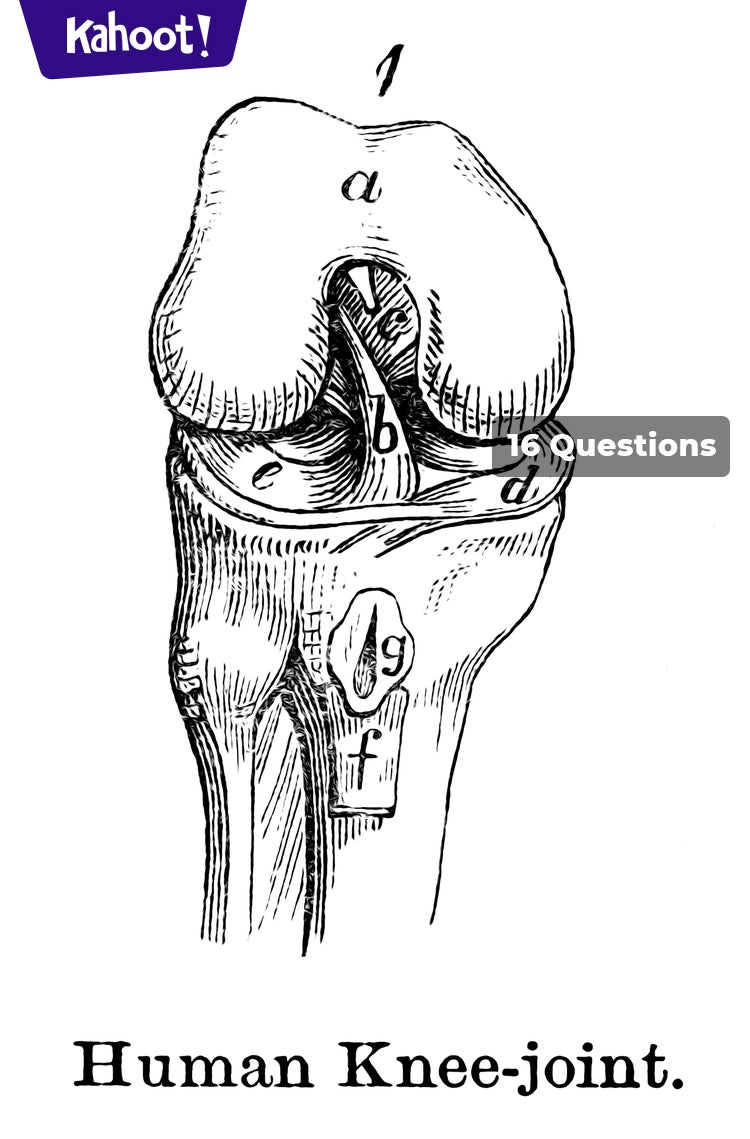 Anatomy of Joints - Kahoot! Quiz