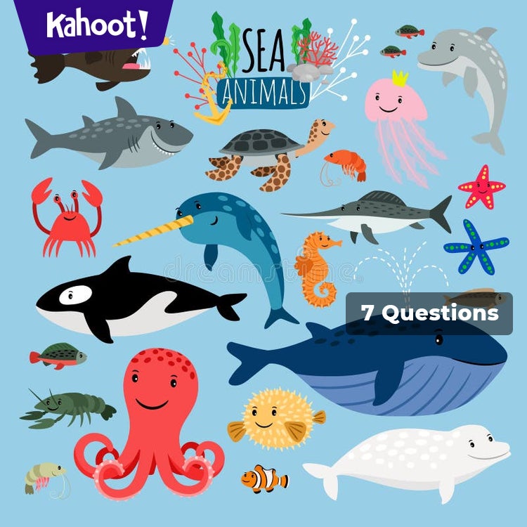 Know the sea animal - Kahoot! Quiz