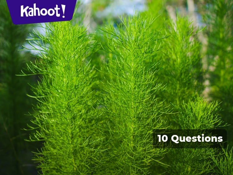 The benefits of the plants - Kahoot! Quiz