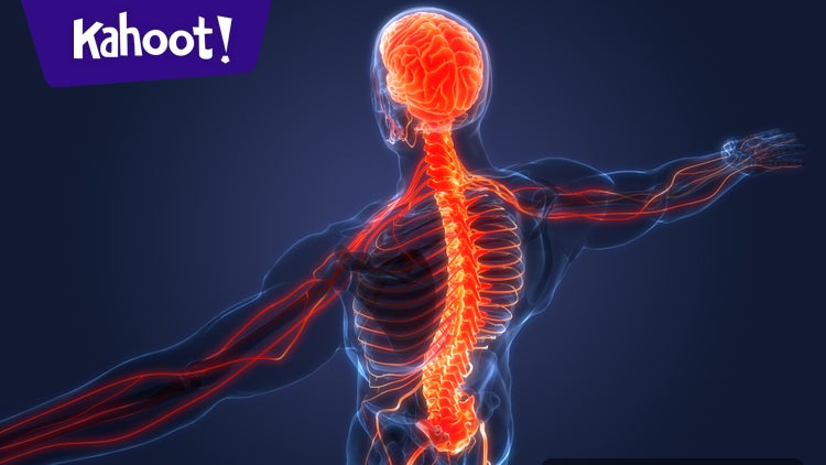 Ch2: Structures & Functions of the Brain/Nervous System - Kahoot! Quiz