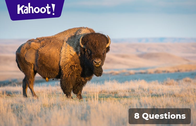 Where the Buffalo Roam: GMS Quiz - Kahoot! Quiz