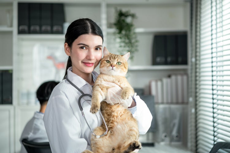 Animal Management CDE Prep (Even Year) - Kahoot! Course