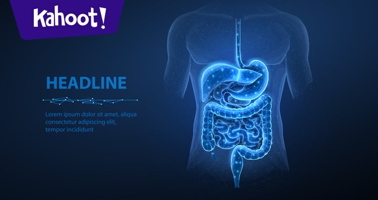 The Amazing Human Body - Kahoot! Quiz