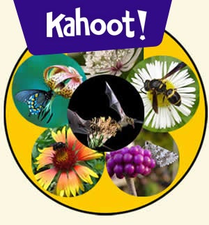 Ecology Review - Kahoot! Quiz
