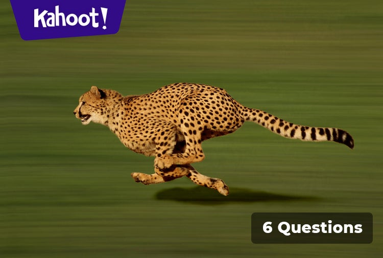 Learning Adjectives in a fun way! - Kahoot! Quiz