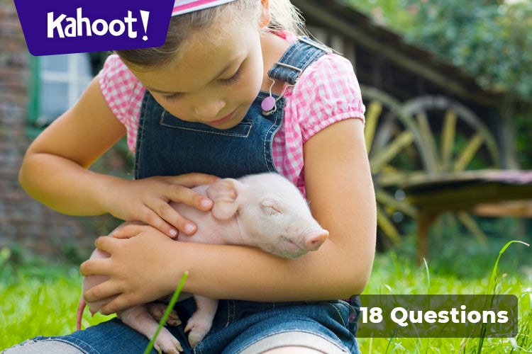 People and Animals Work Together - Kahoot! Quiz
