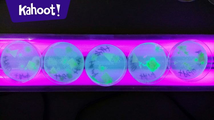 Unit 7 Biotechnology Review - Kahoot! Quiz
