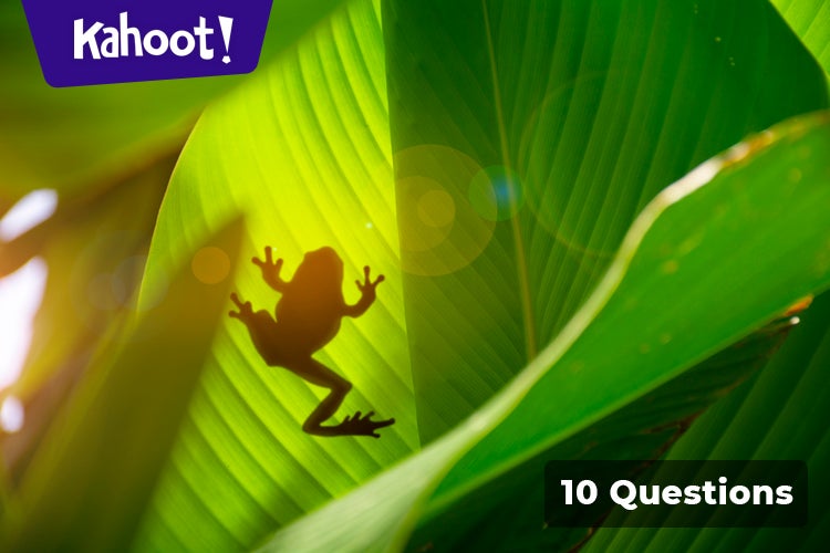 SCIENCE IS FUN-TASTIC LESSON 9 QUIZ - Kahoot! Quiz